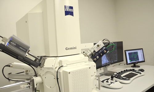 Advanced Microscopy Sample Page - Medipol Sabita